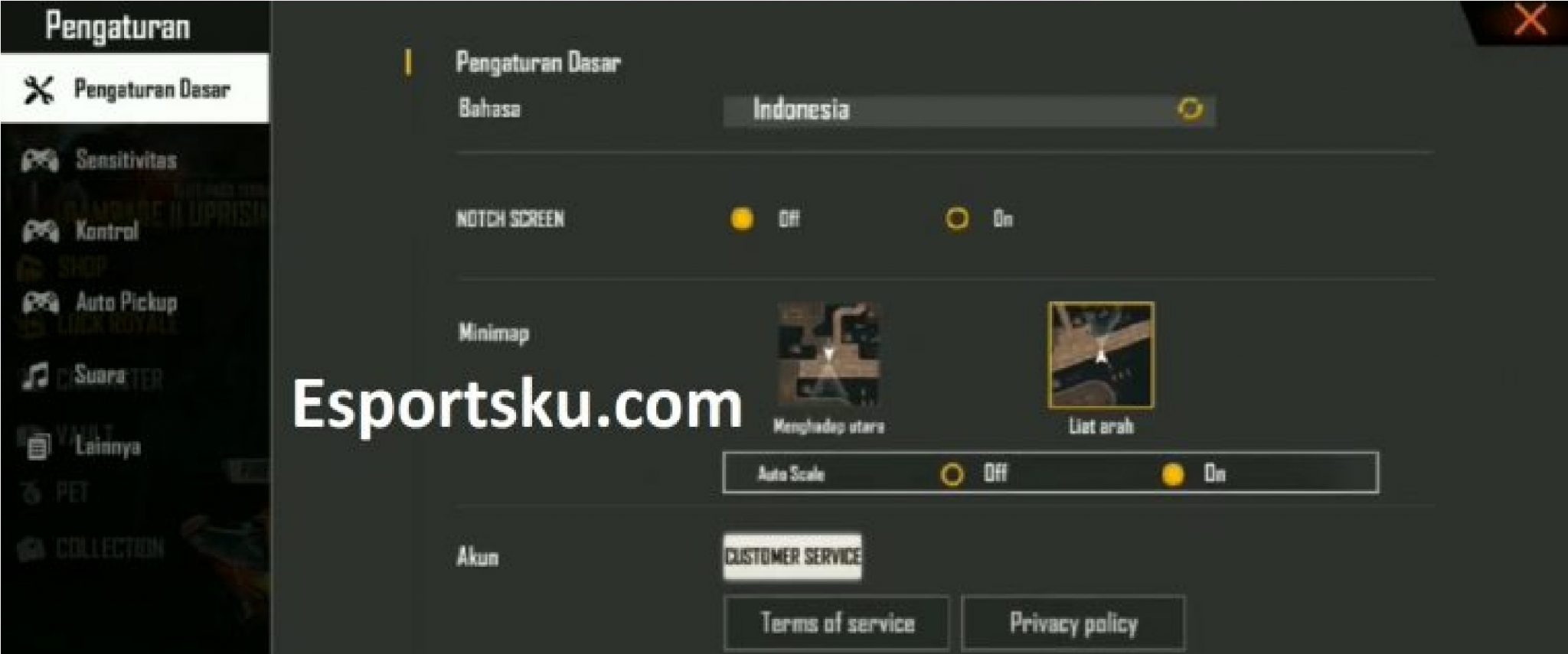 Tips for a Full Screen Setup in Free Fire (FF) - Esports
