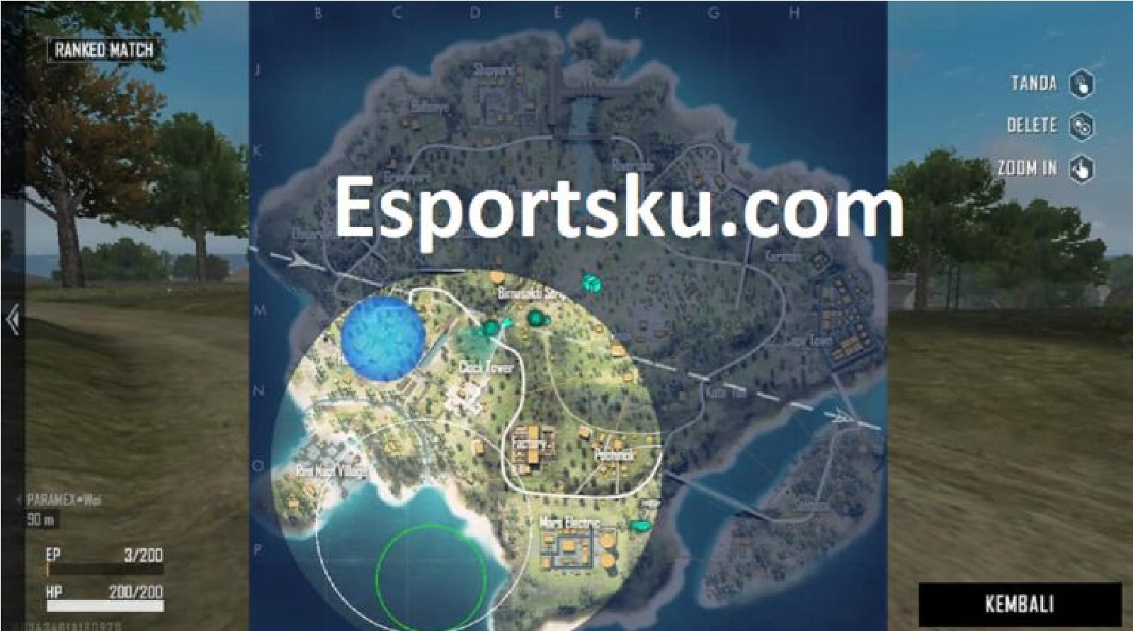 Unique and Relatable Player Experience in Free Fire (FF) - Esports