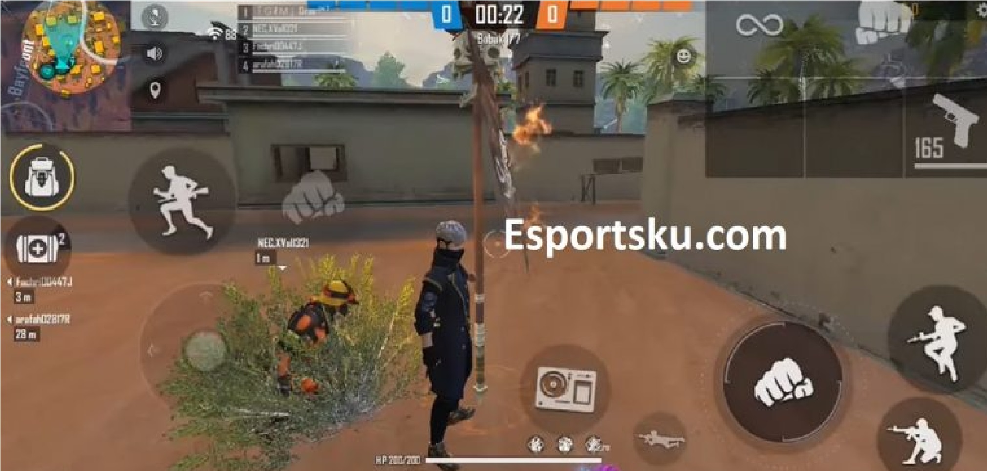 Facts about the Pirate Flag Emote in Free Fire (FF) - Esports