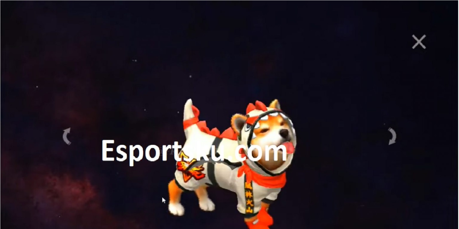 The 5 Best Pets for K Free Fire (FF) Characters Esportsku Version - Esports