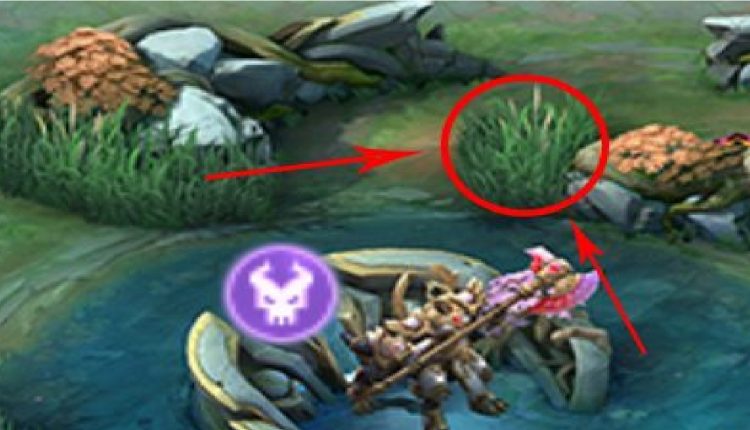 Hero makes paranoia when he passes Bush in Mobile Legends (ML) - Esports